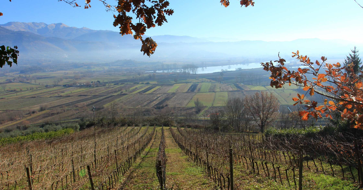 Candidatura all’iscrizione nel Registro Nazionale dei Paesaggi Rurali Storici: sopralluogo del ...