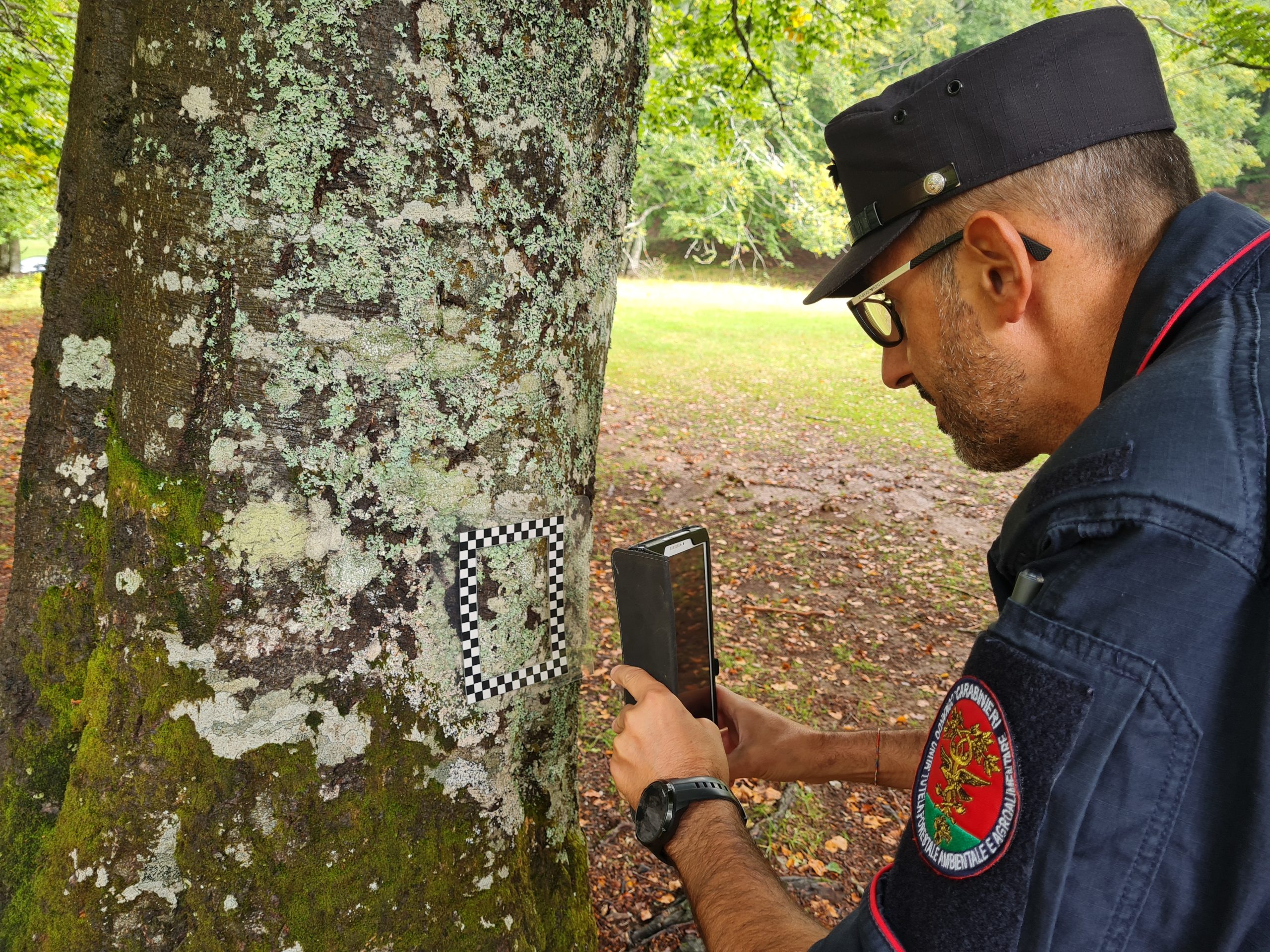Monitoraggio dei boschi, prosegue l'attività dei Carabinieri Forestali